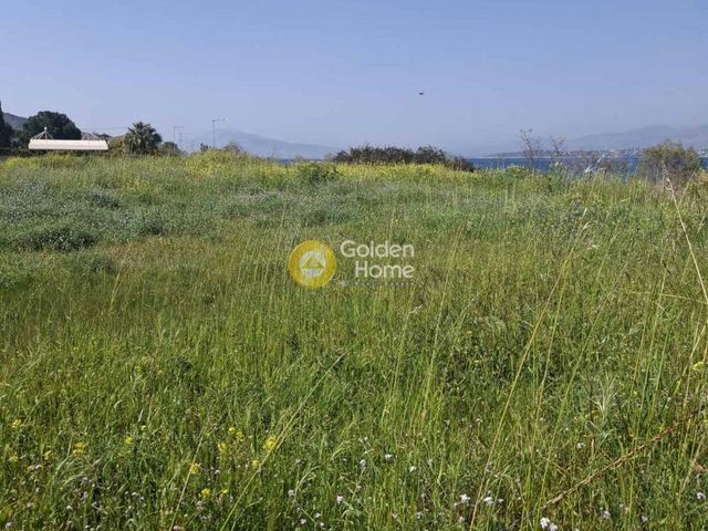 Golden Home | Real Estate Agency in Greece | xe.gr
