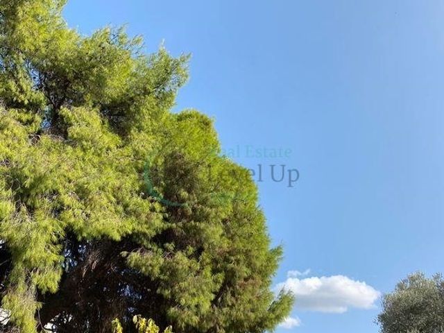 Ενοικιάσεις Αγροτεμαχίων | Δες όλες τις Αγγελίες | xe.gr