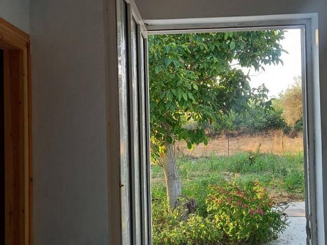 Home Sales Lesbos Prefecture | Chrysi Eykairia