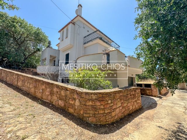 Home Sales Chios | Chrysi Eykairia