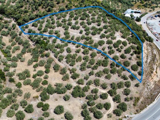 Αγροτεμάχια προς Πώληση | Δες όλες τις Αγγελίες | Χρυσή Ευκαιρία