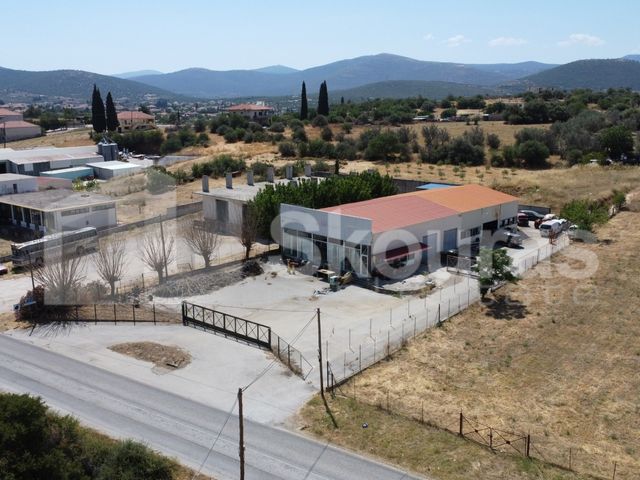 Skouras Real Estate | Real Estate Agency in Greece | xe.gr